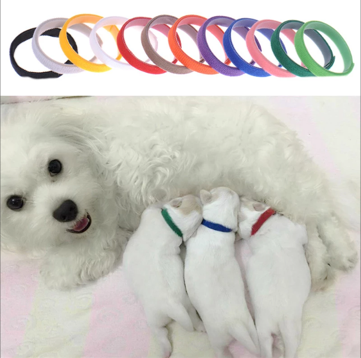Velcro ID Collars 12pcs/set 2 sizes – The Breeders Cupboard