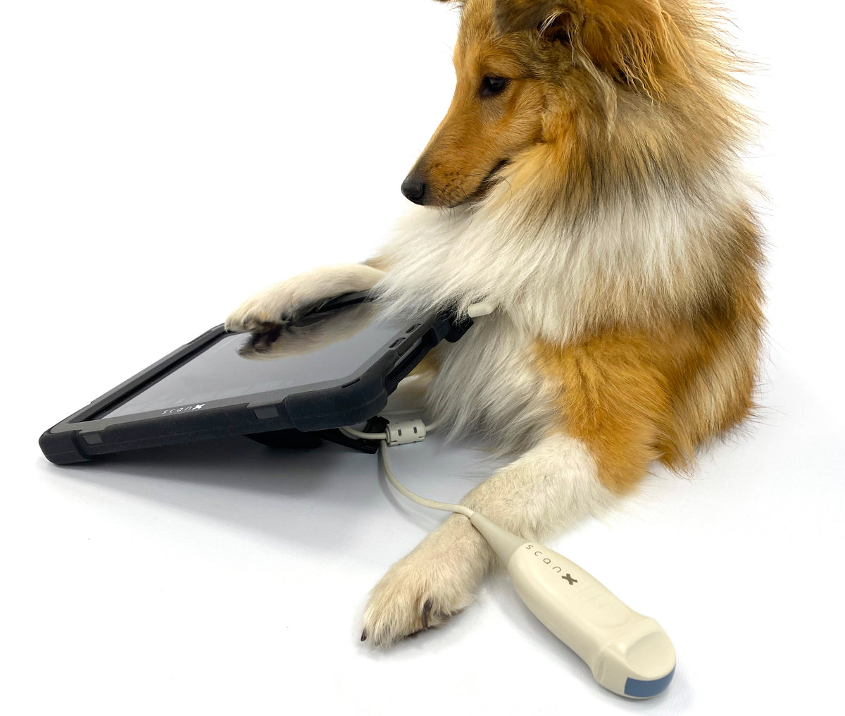 VIS SCAN X ULTRASOUND SYSTEM – The Breeders Cupboard